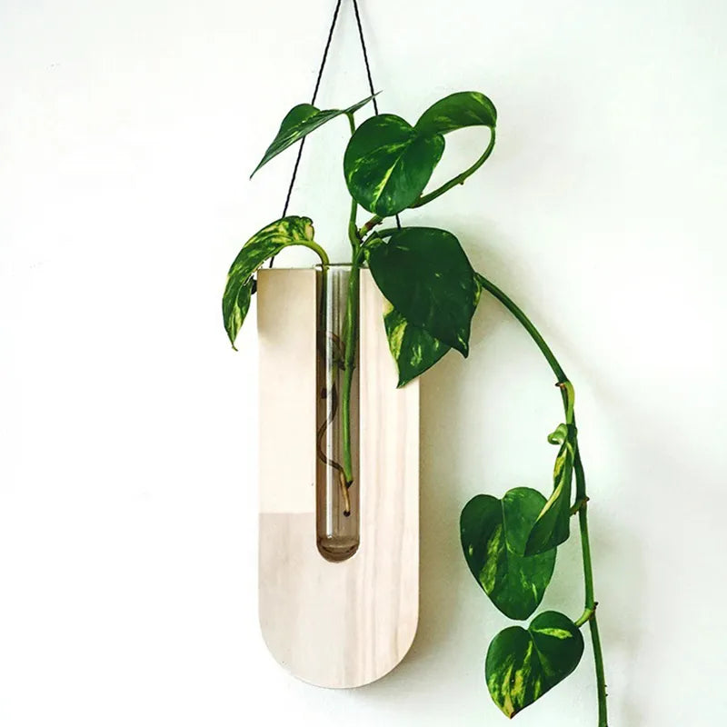 5 Styles Wall Hanging Rope Flower Hydroponic Plant Rack – HighEmporium.com